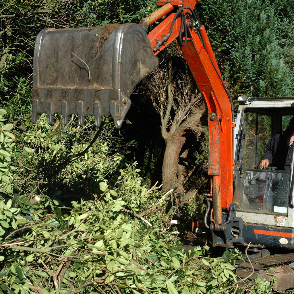 Tree Stump Removal – Sydney Excavator